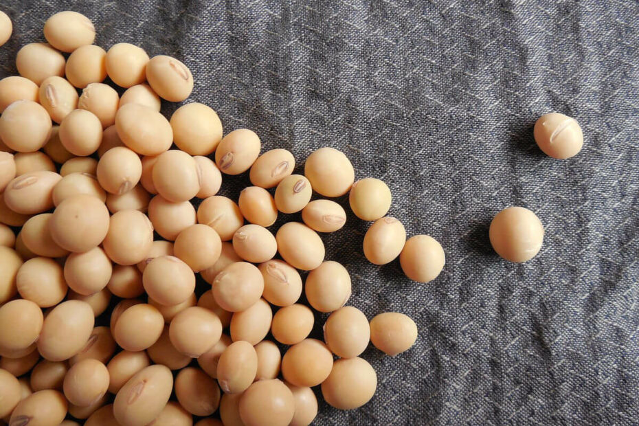 GMO Promises